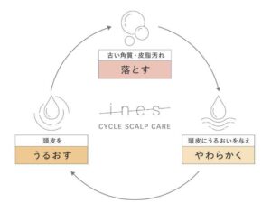 頭皮も髪もウルウルに♪｢ines｣から新作クリームシャンプーが登場：cocotte