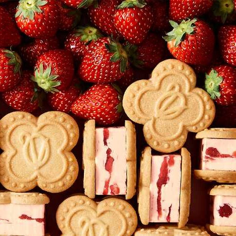 【VERY RUBY CUT】大丸東京店で期間限定の｢いちごバターサンド｣を発売♡：cocotte