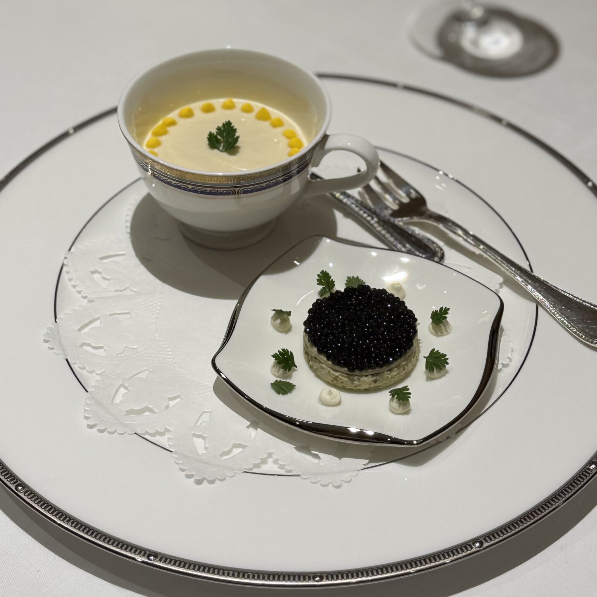 デビュー15周年記念!タレント･成瀬心美の写真集｢coco｣が登場♡：cocotte