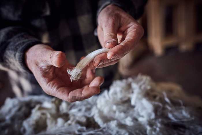 サステナブル＆肌に優しい！NWQLの新しいウールインナーで快適に：cocotte