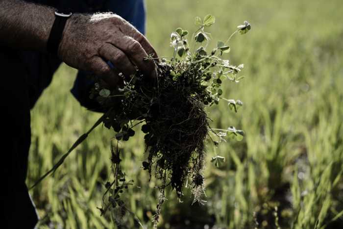 サステナブル＆肌に優しい！NWQLの新しいウールインナーで快適に（cocotte）｜dメニューニュース（NTTドコモ）